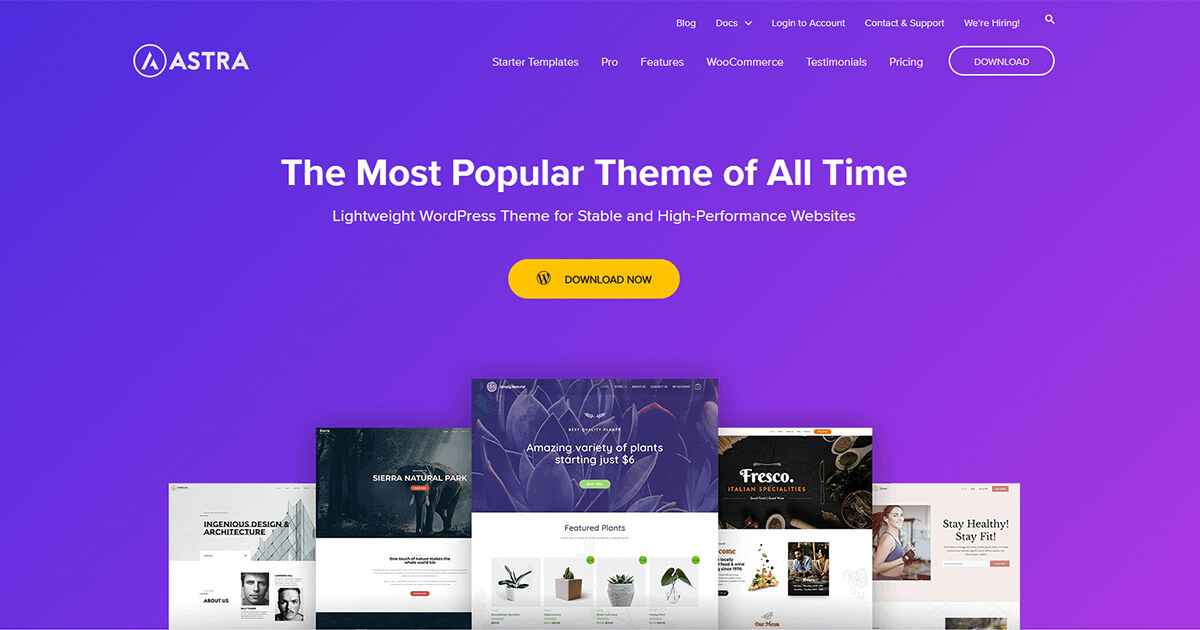 14 Best Free Elementor WordPress Themes 2025