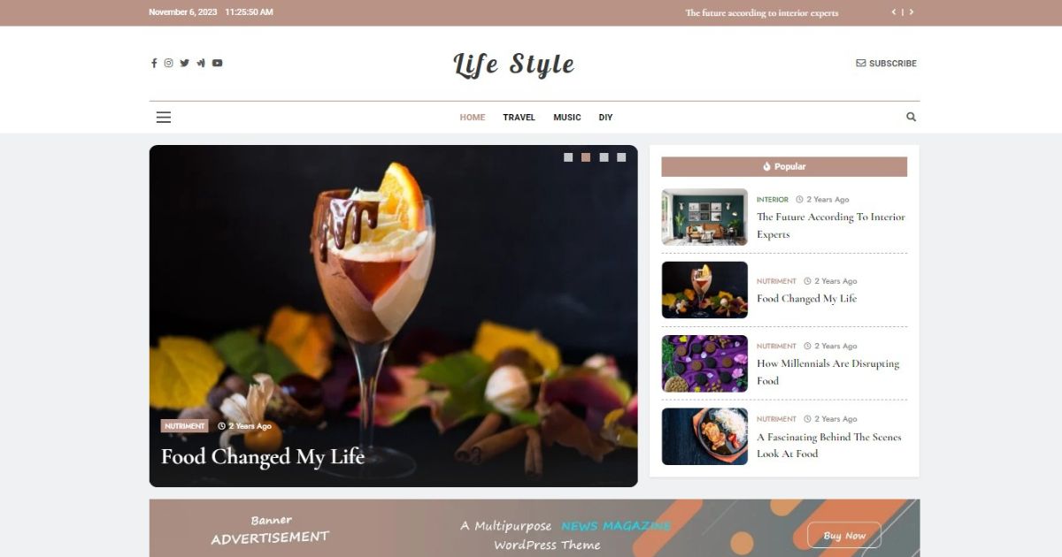 15+ Best WordPress Blog Themes 2025